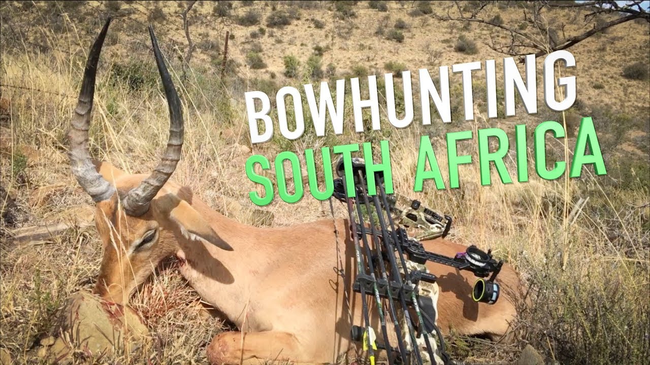 BOW HUNTING KUDU, SPRINGBOK AND IMPALA - YouTube