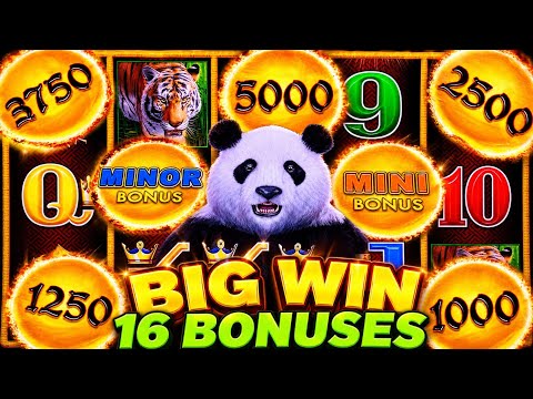 DRAGON LINK PANDA MAGIC FOR THE BIG WIN 🎰 