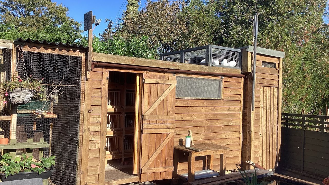 Tippler pigeon loft and kit box measurements. - YouTube