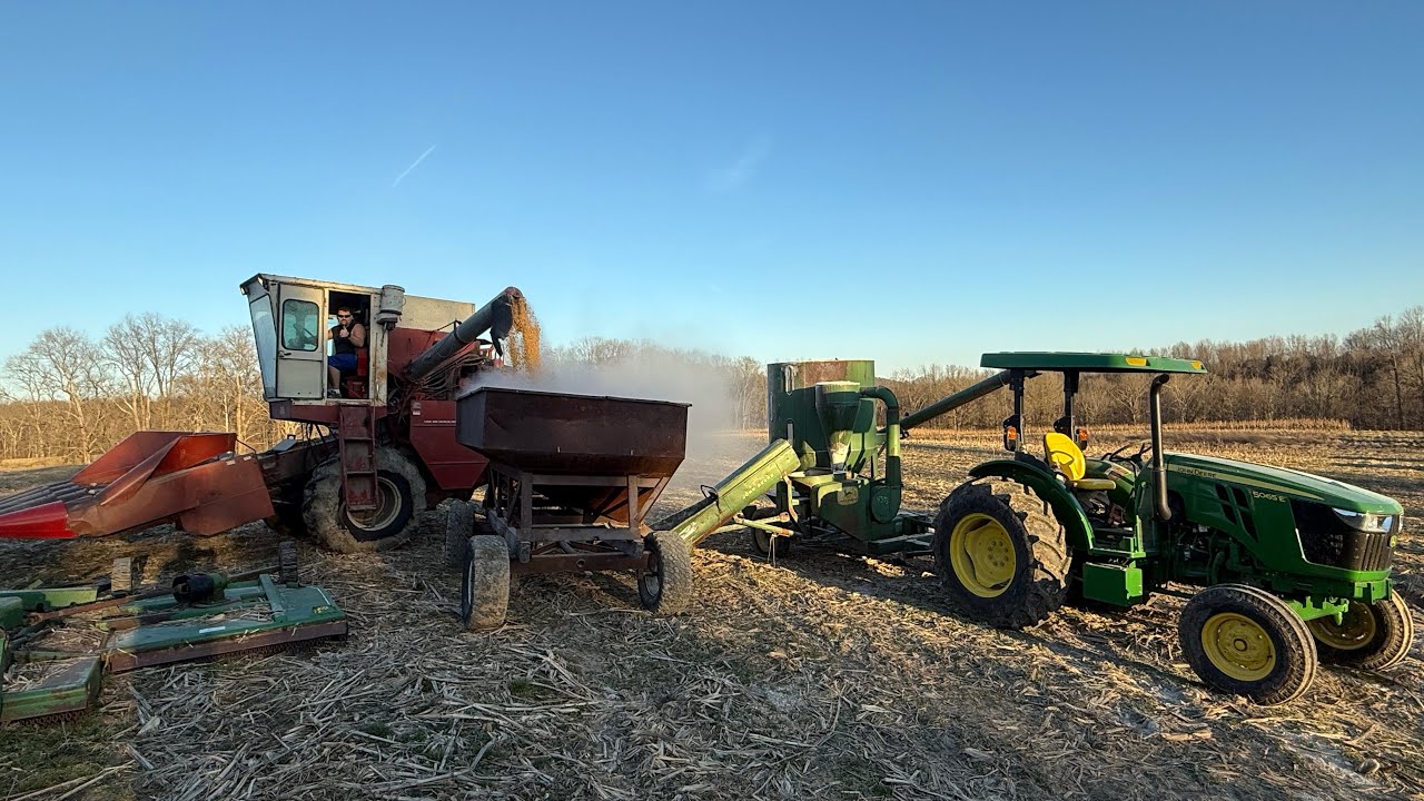 Grinding Feed for Our Cattle, Sheep and Pigs - YouTube