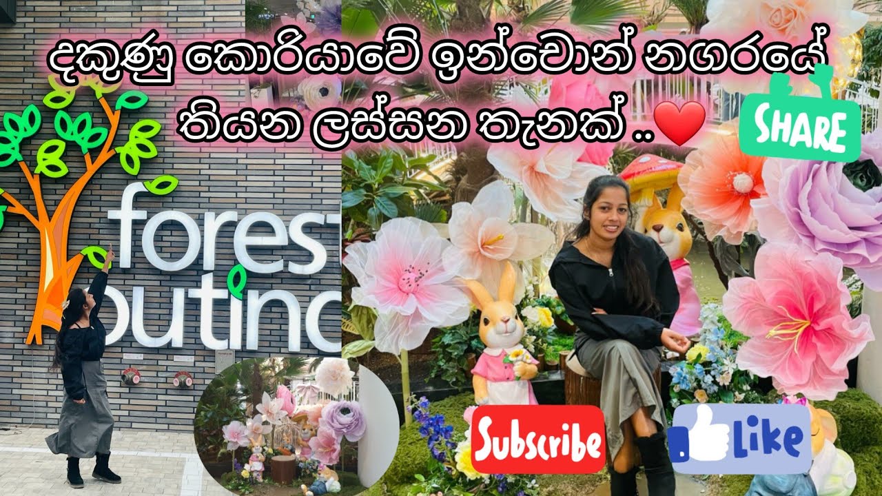 ලස්සන තැනකට ඇවිදින්න ගියා..🤗 Incheon forest outing/ March 23, 2024 ...