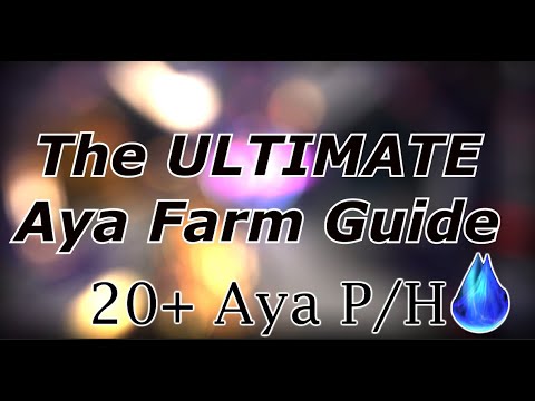 Ultimate Aya Farm Guide (20+ Aya Per Hour) - YouTube