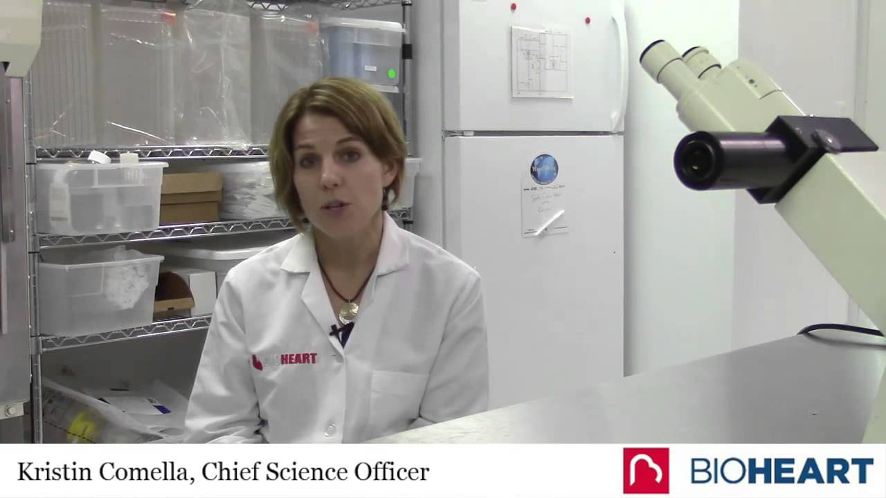 Who is Kristin Comella?, U.S. Stem Cell, Inc USRM - YouTube