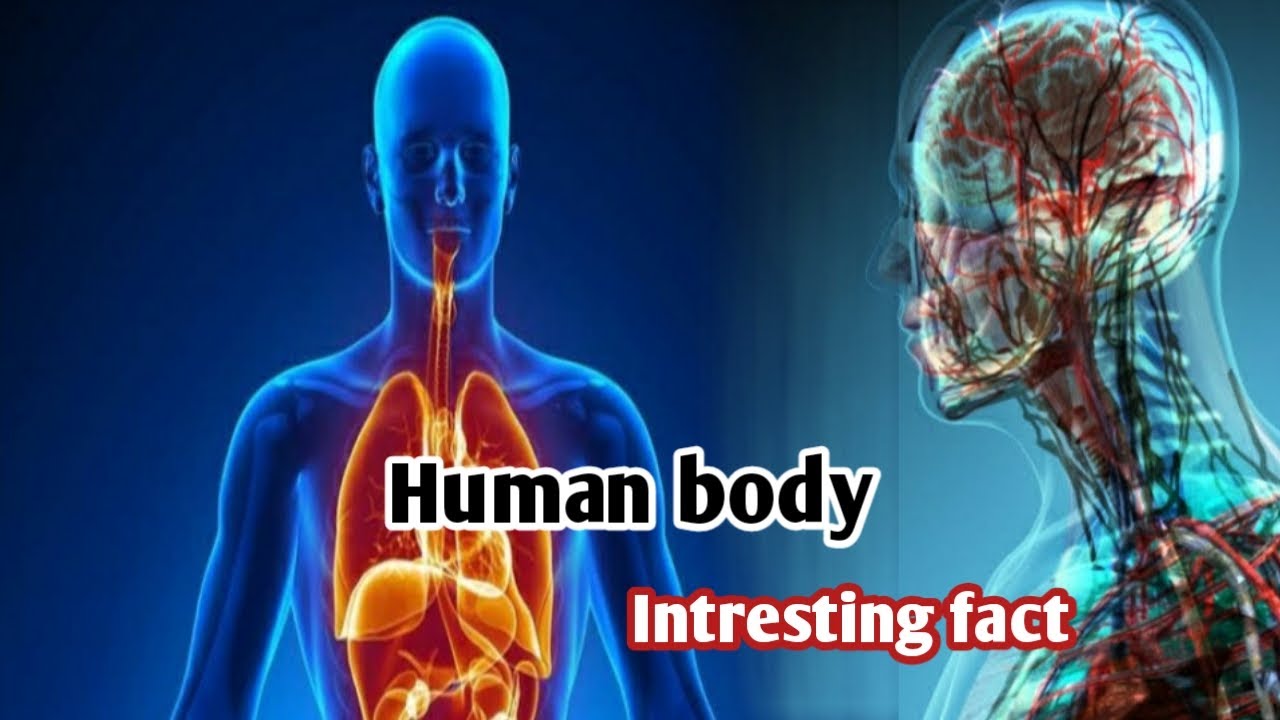 Insaan ke body me gold ? Gold in Human Body - YouTube
