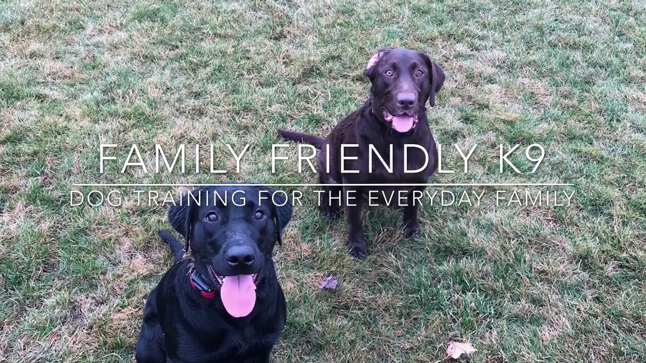 Family Friendly K9 Intro Video - YouTube