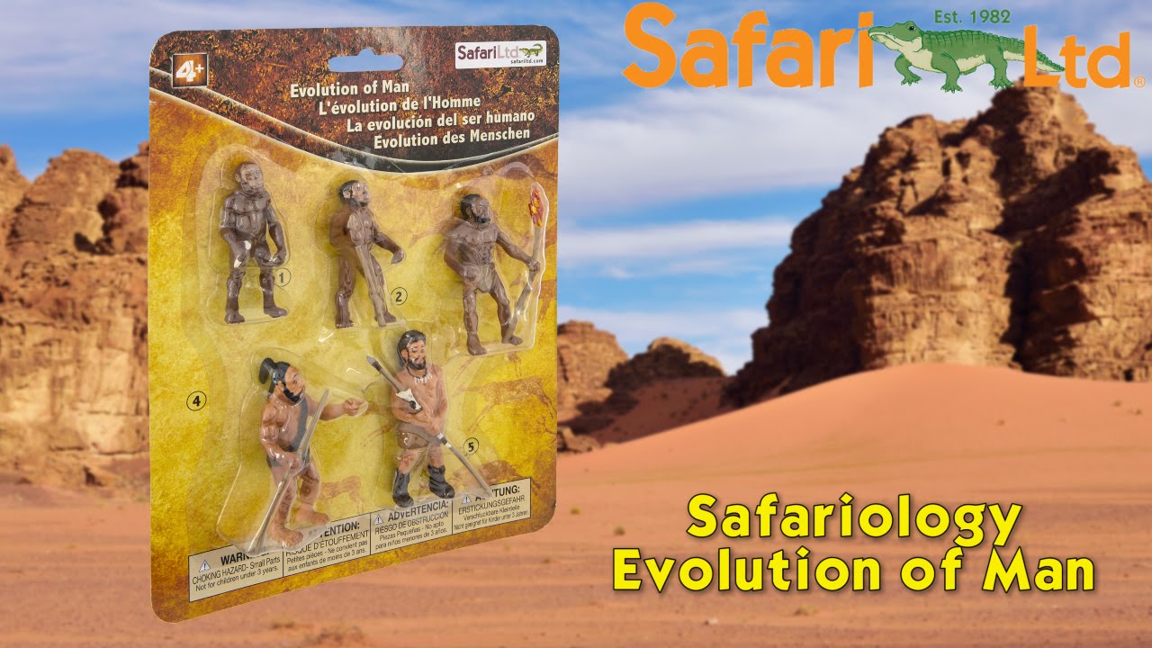 Safari LTD Safariology Evolution of Man - YouTube