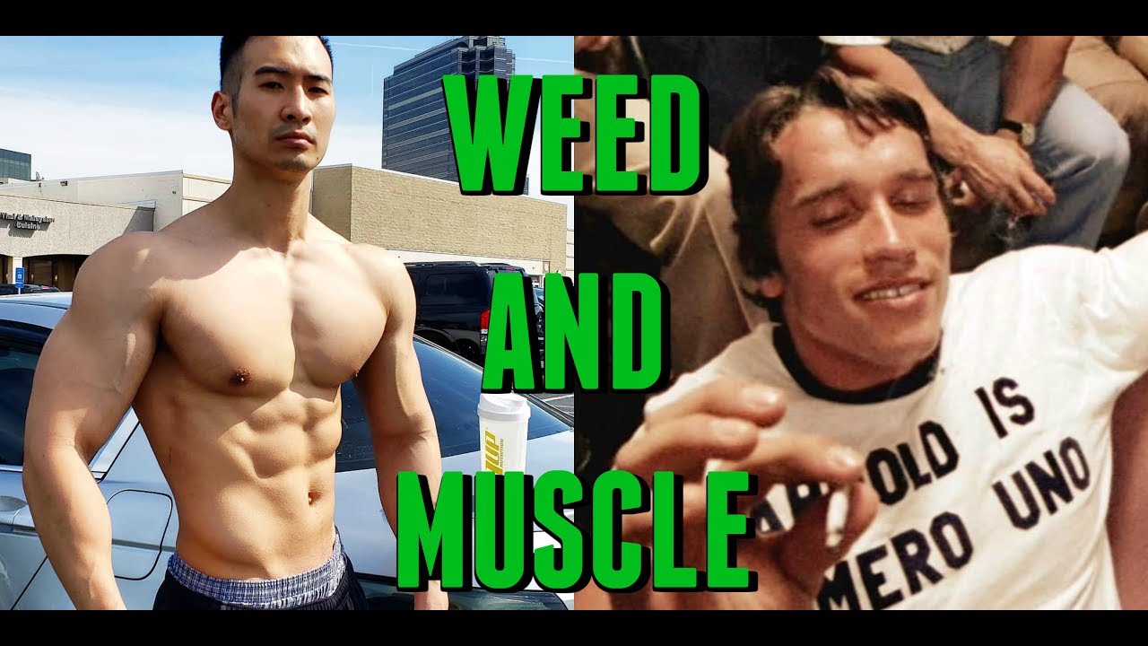 Marijuana Helps Build Muscle? | New Study 2019 - YouTube