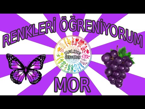 RENKLERİ ÖĞRENİYORUM // MOR // OKUL ÖNCESİ