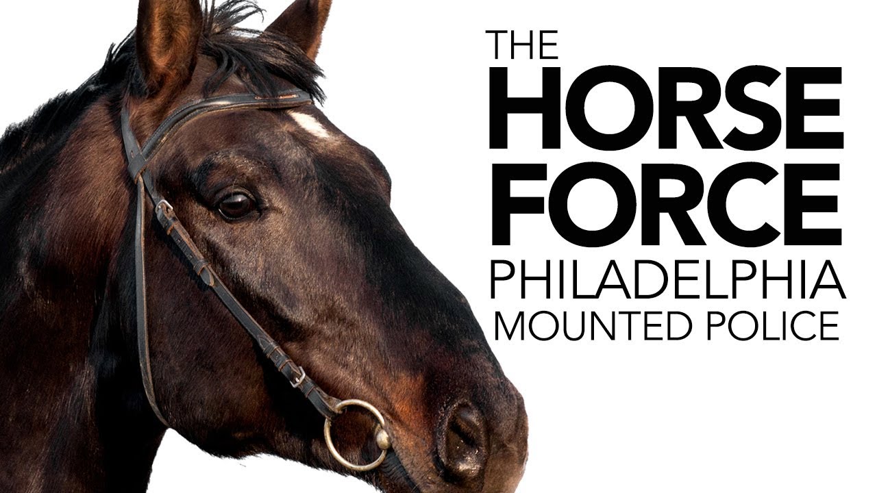 The Philadelphia Mounted Police | 6abc Discovery - YouTube