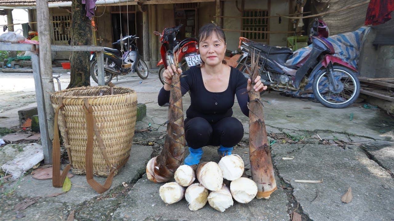 Harvesting Bamboo Shoot Go To The Village To Sell - Crush Rice and Cook ...