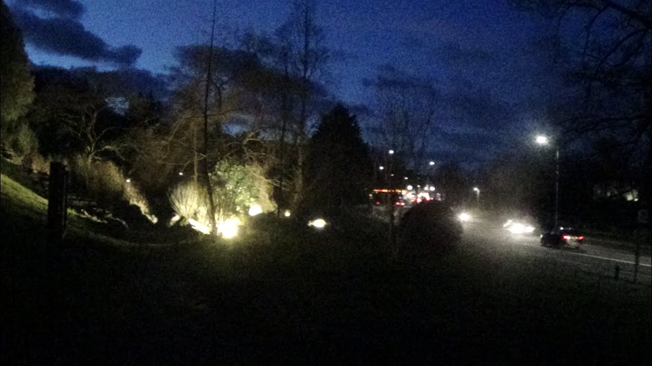 Foxy exploring Preston Rock Gardens in East Sussex, 26th February 2024 ...