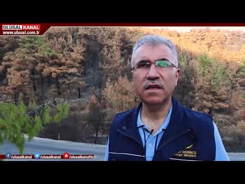 İzmir’de orman yangını