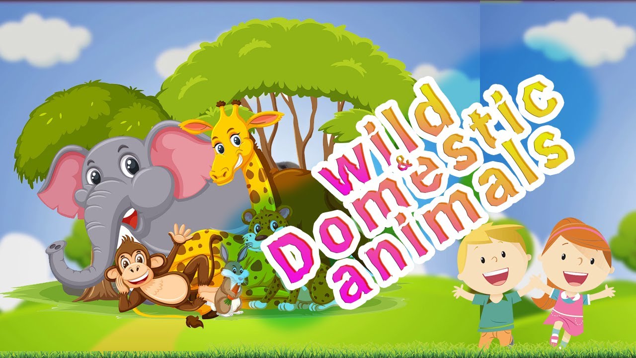 LEARN TYPE OF ANIMALS.WILD AND DOMESTIC ANIMALS(CBC CURRICULUM)FOR KIDS ...