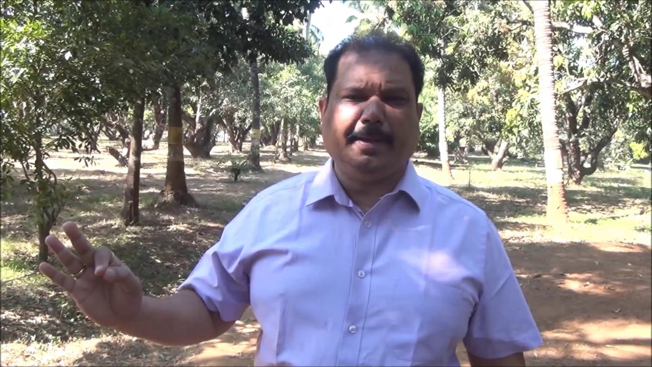 सपने साकार होते हैं.....by Dr Santosh Parab [Hindi] - YouTube