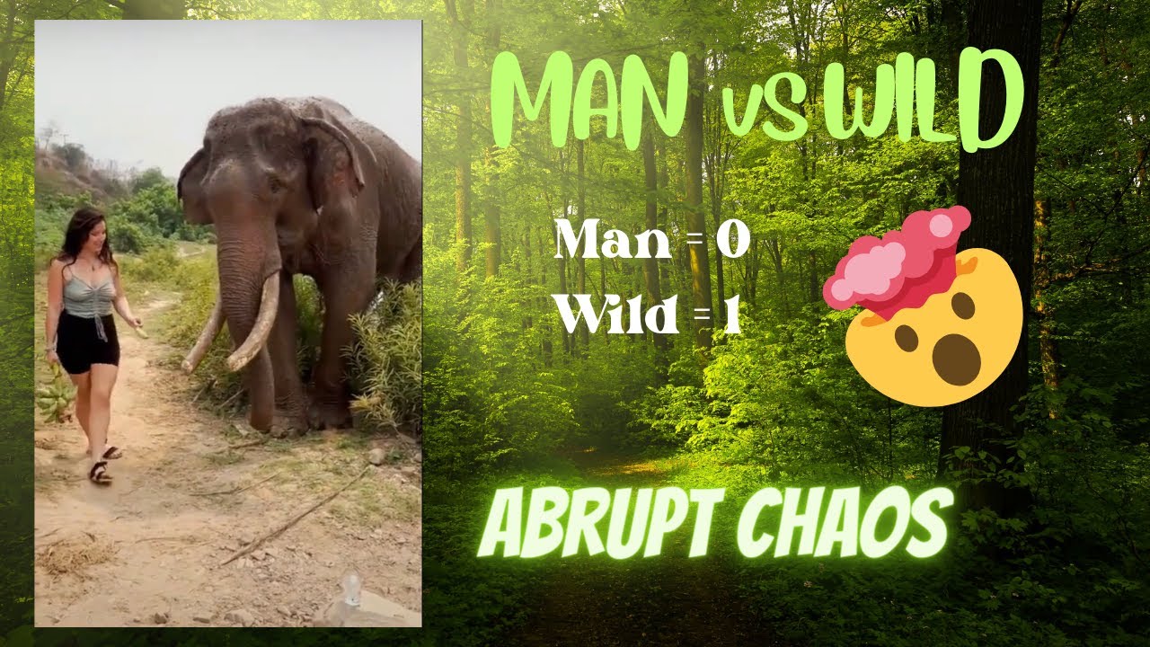 Abrupt Chaos Compilation | Reddit's Best Videos the Week | 22-04-23 - YouTube