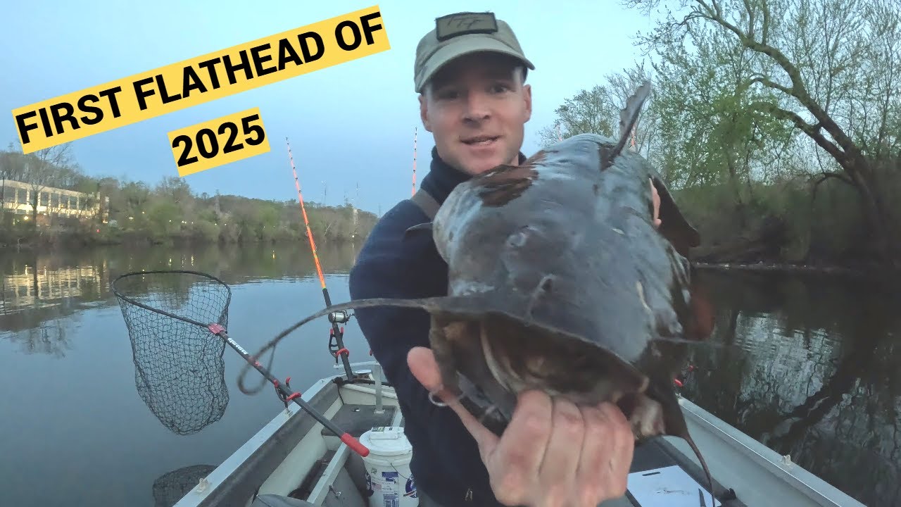 NICE Flathead Using the Okuma Cat Slayer Rod - YouTube