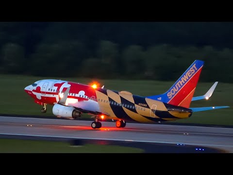 MORE NON STOP Aviation Spotting Tampa International Airport - YouTube