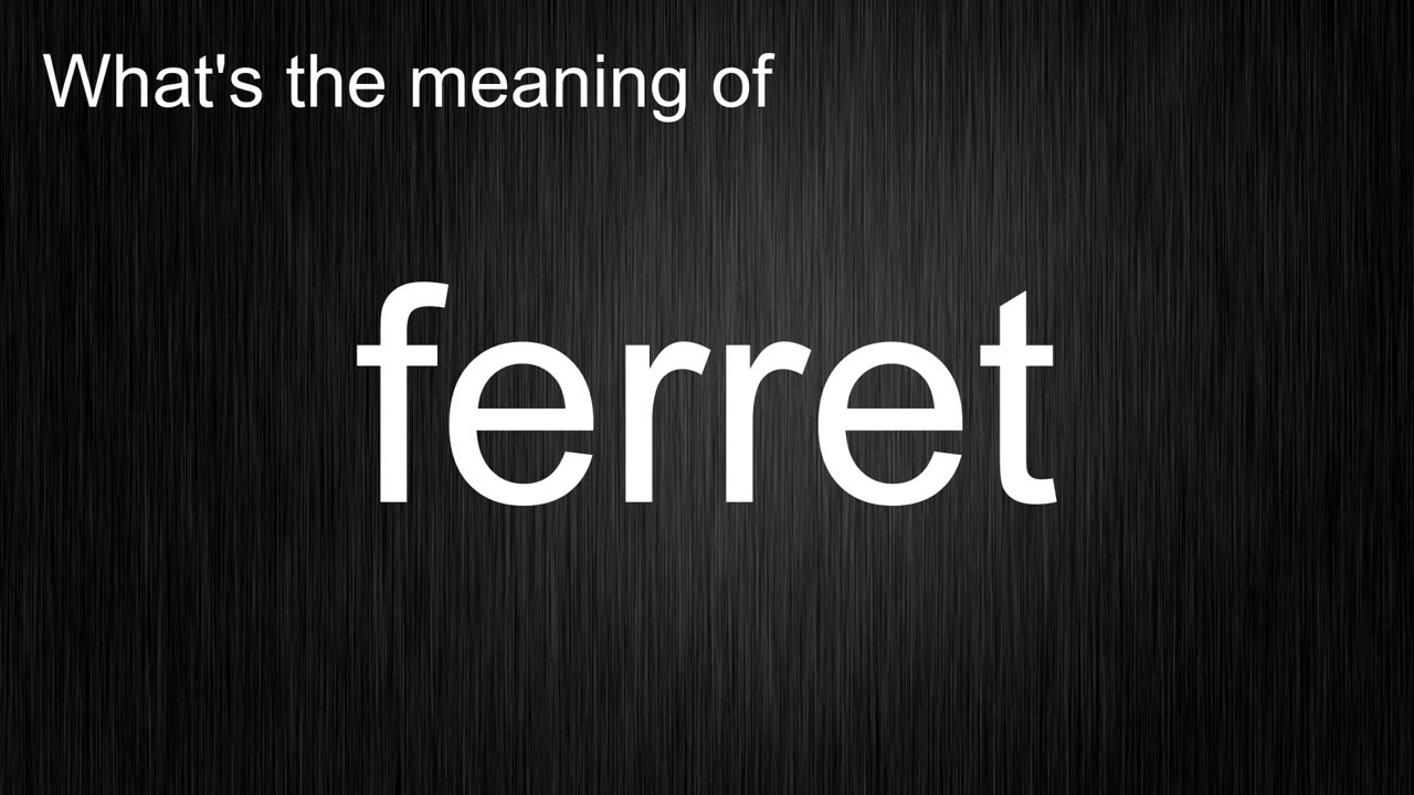 What's the meaning of "ferret", How to pronounce ferret? - YouTube
