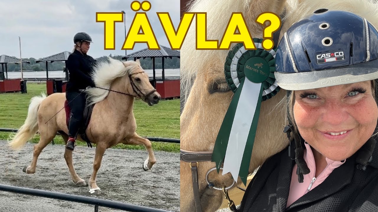 HUR TÄVLAR MAN ISLANDSHÄST??? - YouTube
