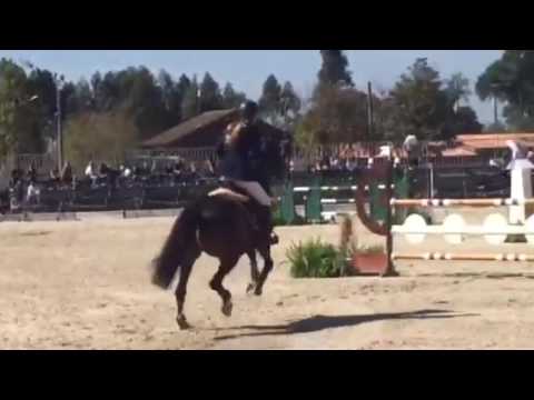 Rafaela Dias Mello - Madame LILI - Campeonato Brasileiro -