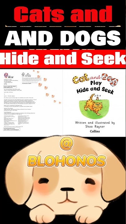 Cats and dogs Play hide and seek (playing) - YouTube