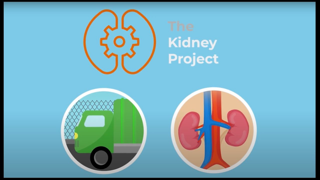 How The Kidneys Work - YouTube