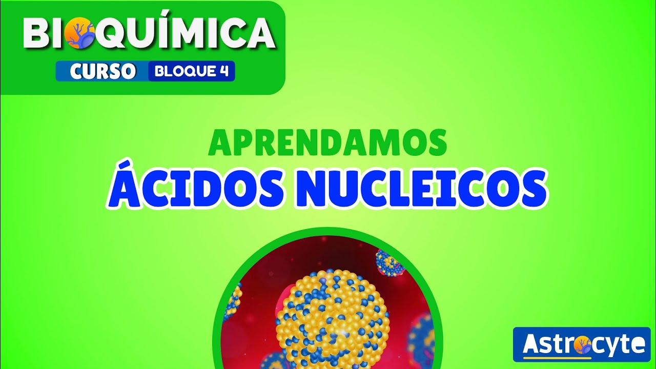 ACIDOS NUCLEICOS - YouTube