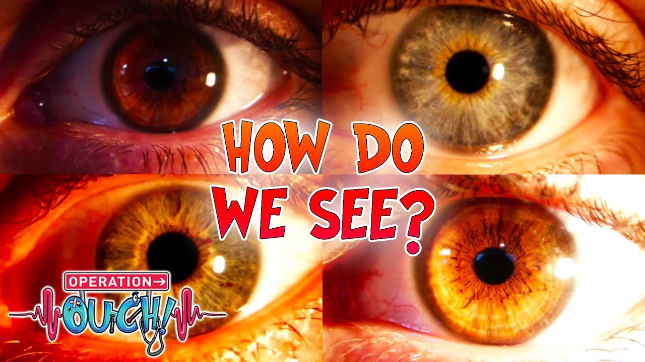 How Do We See? | Operation Ouch | Science for Kids - YouTube