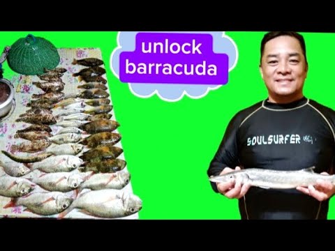 Ep27 ultra light fishing. My pang Ulam na nka relax pa. #fishing # ...