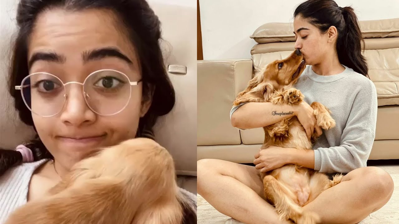 Rashmika Mandanna Playing With Her Pet Dog | Rashmika Mandanna | Vijay ...