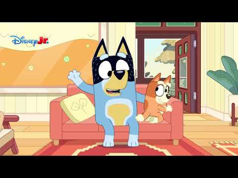 Bluey Curtas | Governo