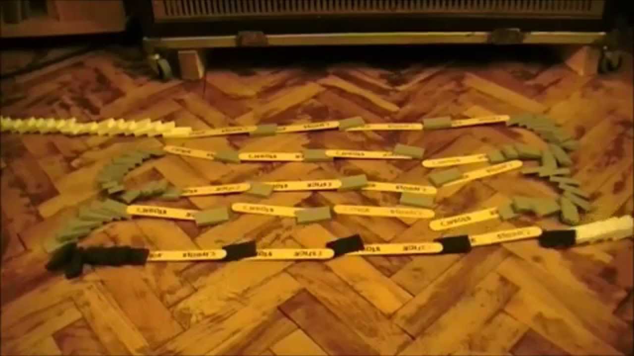 IP DOMINO & DOMINO GUY (10000 Dominoes) - YouTube