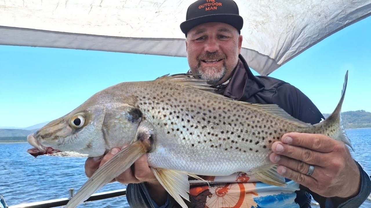 Pilchard vs Sand Prawn Grunter Fishing - YouTube