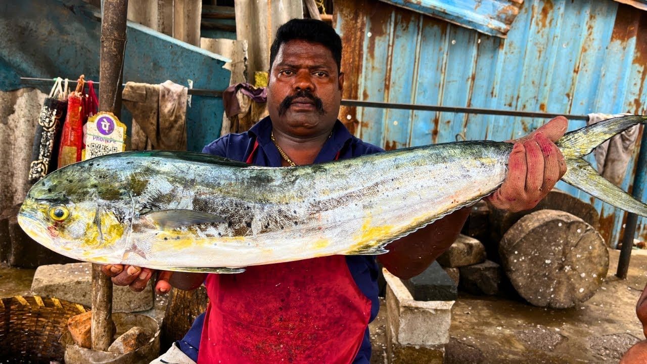 KASIMEDU SPEED SELVAM MAHI MAHI PARLA FISH CUTTING VIDEO CUTTING FOCUS ...