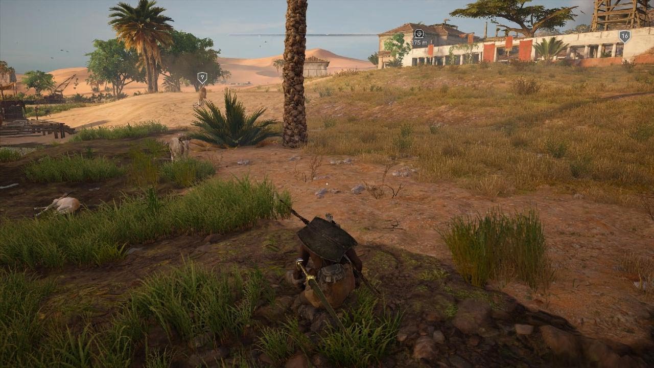 Assassin's Creed Origins Lion hunts Goat - YouTube