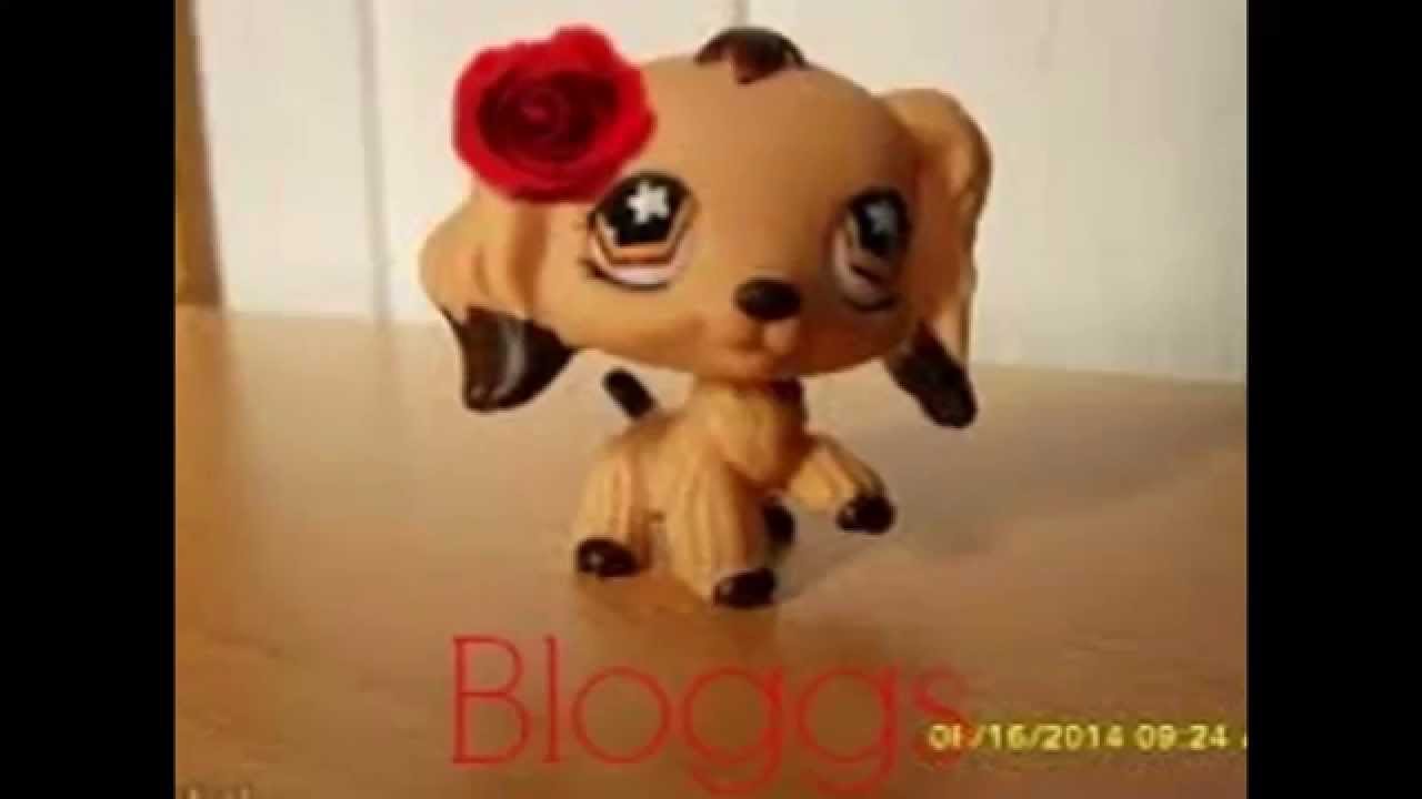 LPS Rose commercial - YouTube