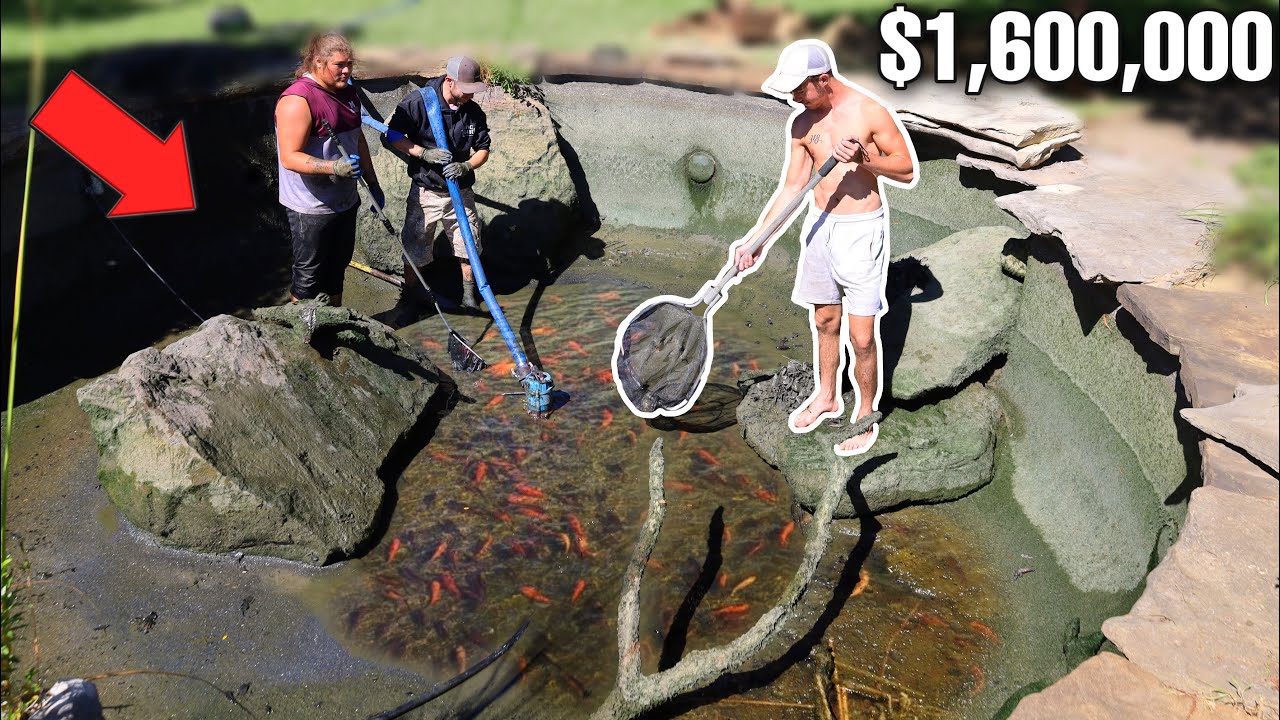 Saving ABANDONED Goldfish From $1,000,000 MANSION... - YouTube