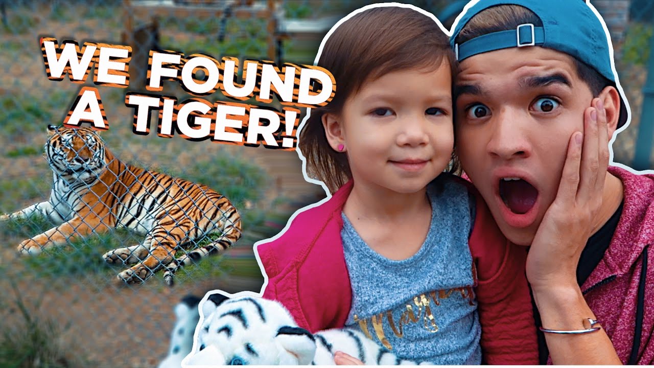 WE FOUND A TIGER! - YouTube