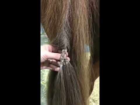 How to put in a False Tail