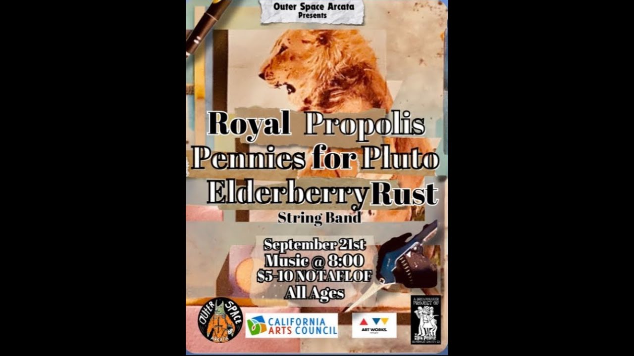 Royal Propolis, Pennies for Pluto, Elderberry Rust String Band - YouTube