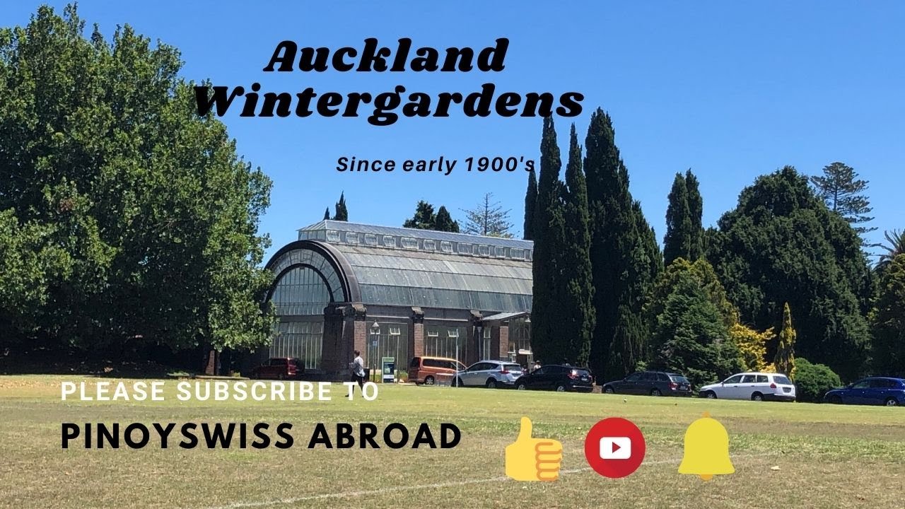 WHAT IS INSIDE AUCKLAND DOMAIN | New Zealand - YouTube