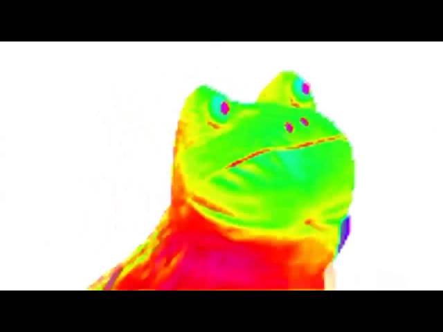 Mlg Frog