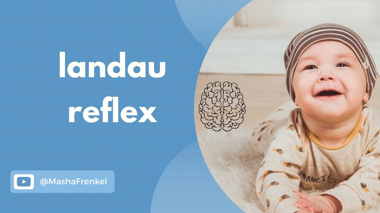 Landau Reflex. Streckermuskeln für die bessere Körperhaltung. - YouTube