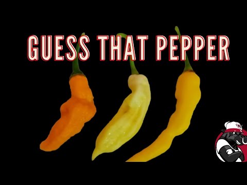 Guess That Pepper - What Kind of Peppers Are These? - YouTube