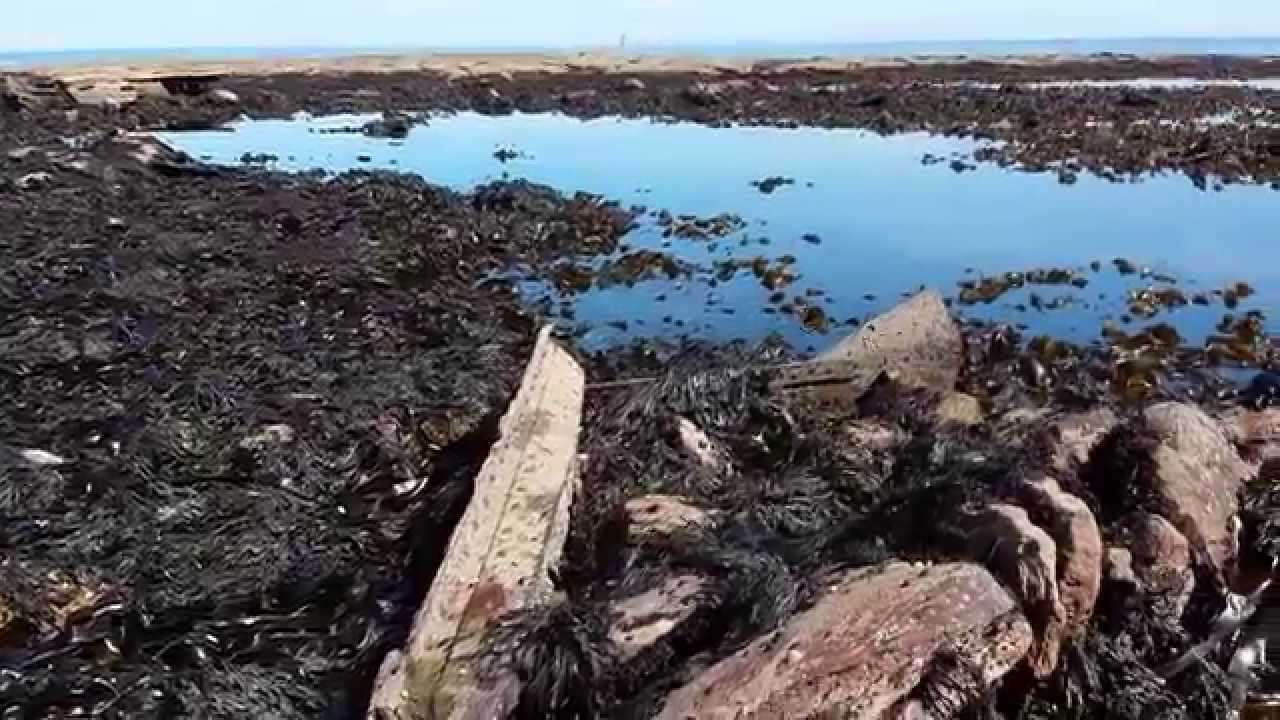 Brown's Point shipwreck - YouTube