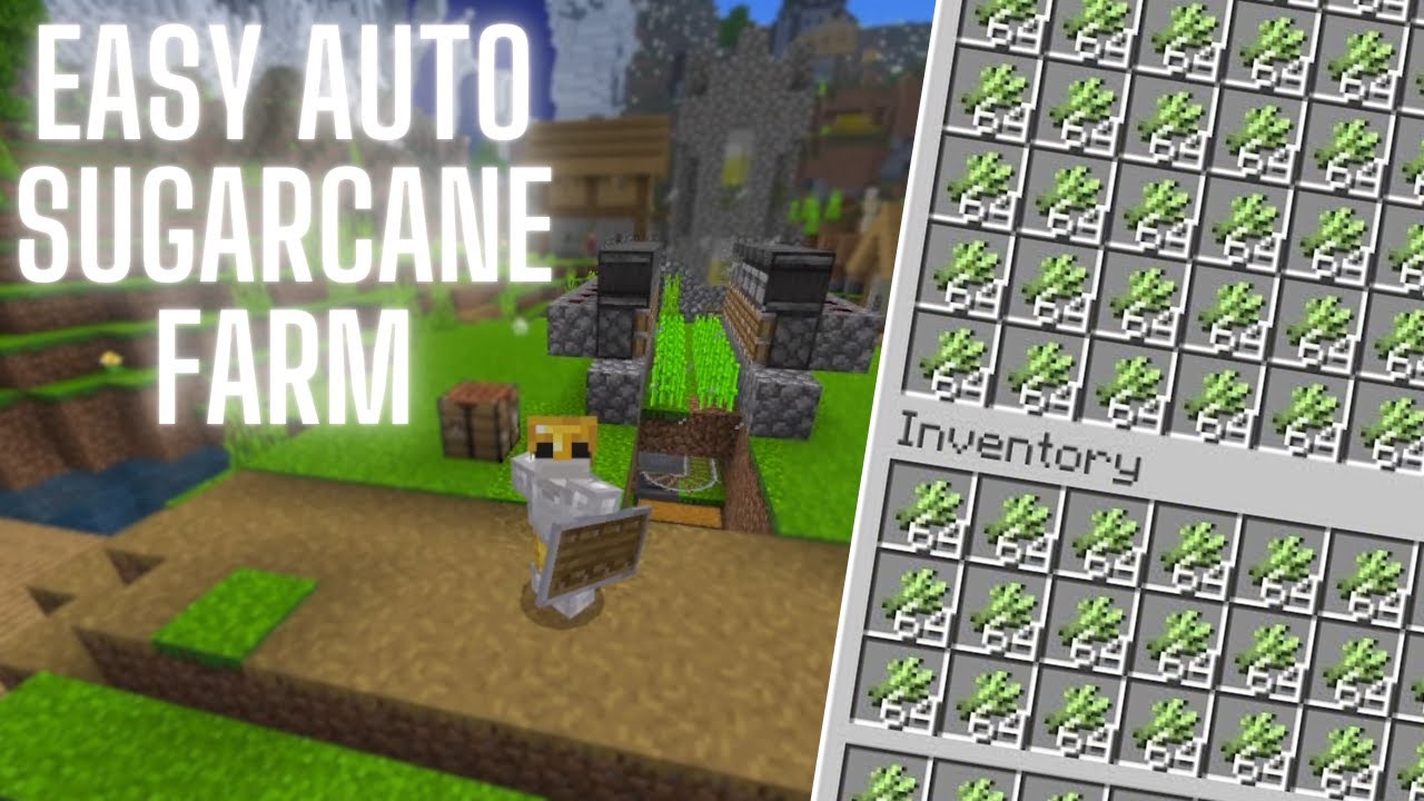 Easy Auto Sugarcane Farm Minecraft 1.20.51 | Minecraft Ep 8 - YouTube