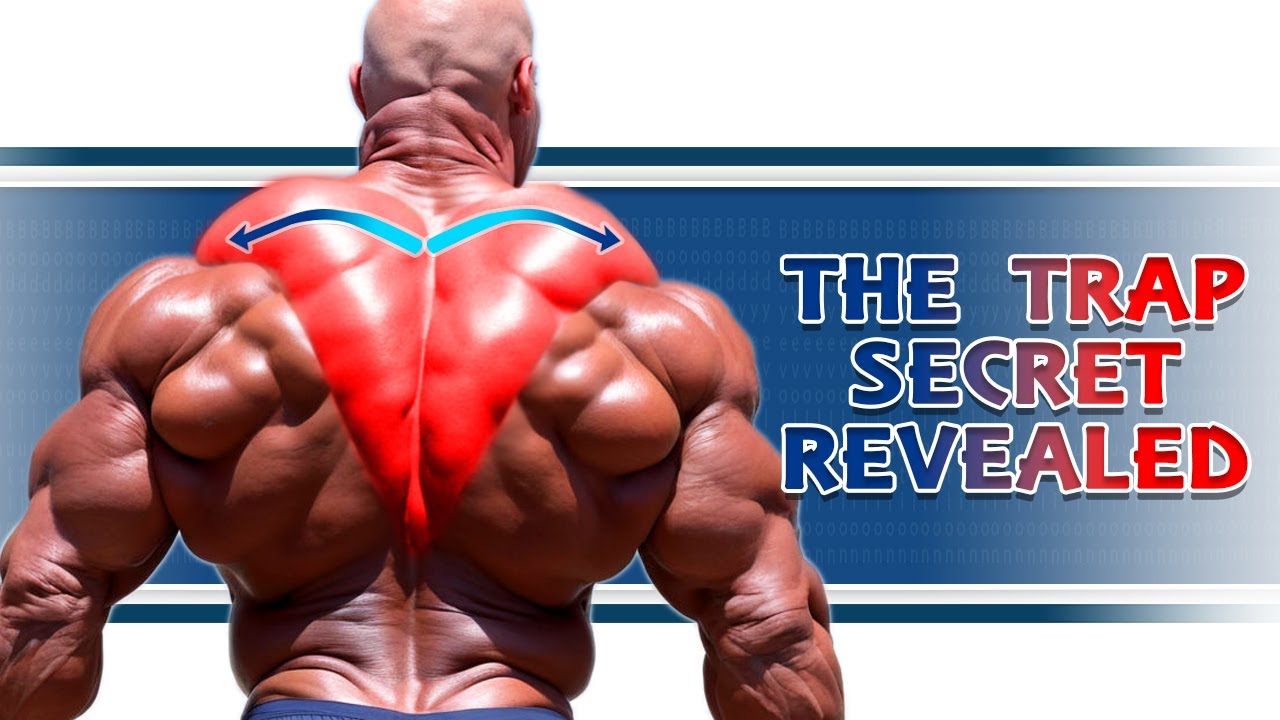 Ultimate Traps Workout: Get Bigger Traps in 30 Days - YouTube
