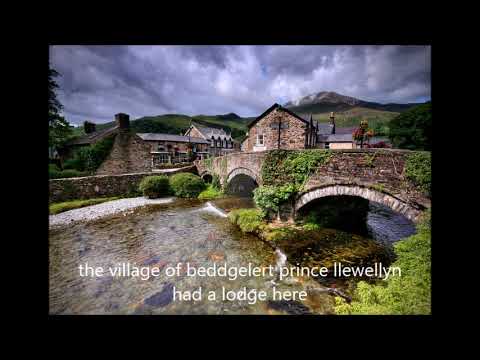 prince llewellyn of wales - YouTube
