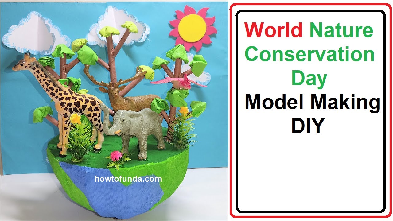 world nature conservation day model making | DIY using cardboard ...