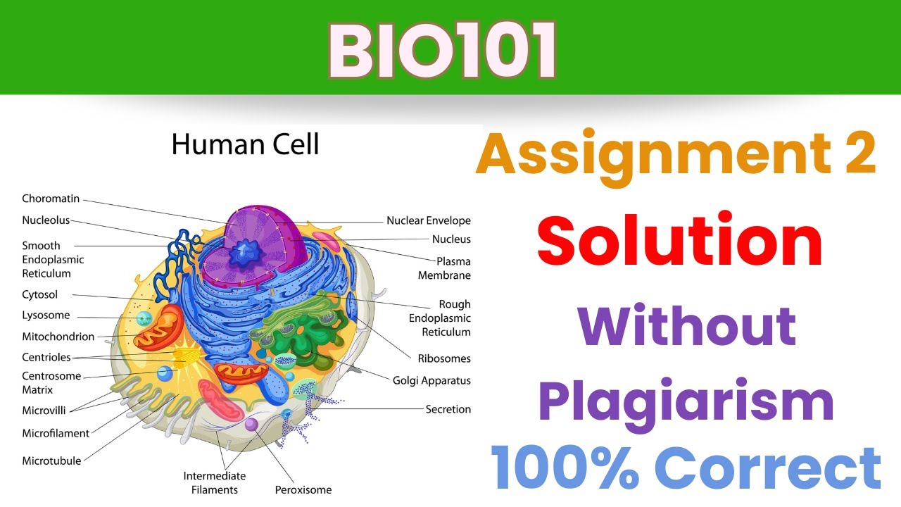 BIO101 Assignment 2 solution_2024_100% Correct_Bio101 Assignment 2 solved - YouTube